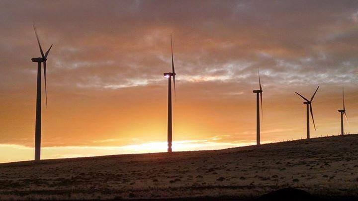 Modern Energy Management appointed Owner’s Engineer for 60MW Wayu wind ...